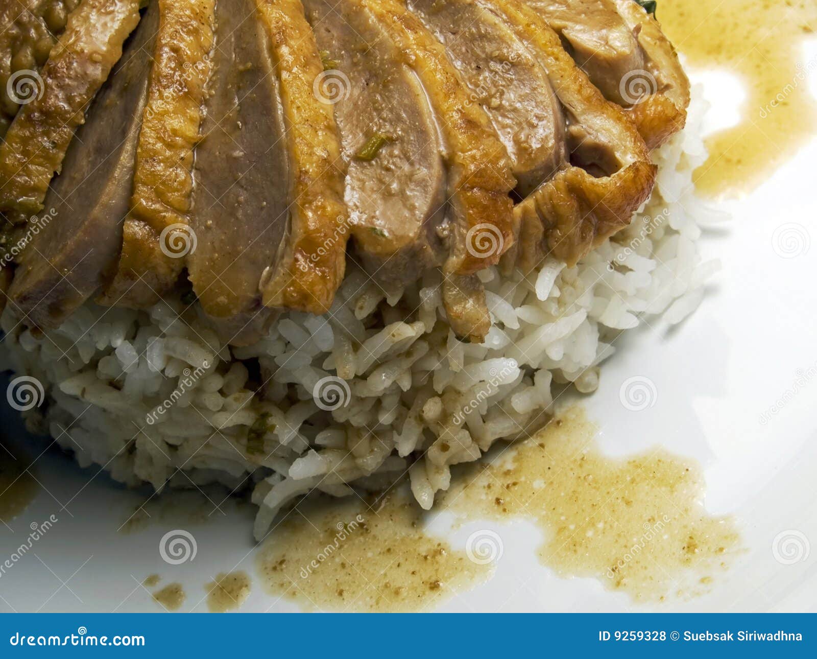 Close Up of Roast Duck with Rice Stock Photo - Image of garnished, choi ...