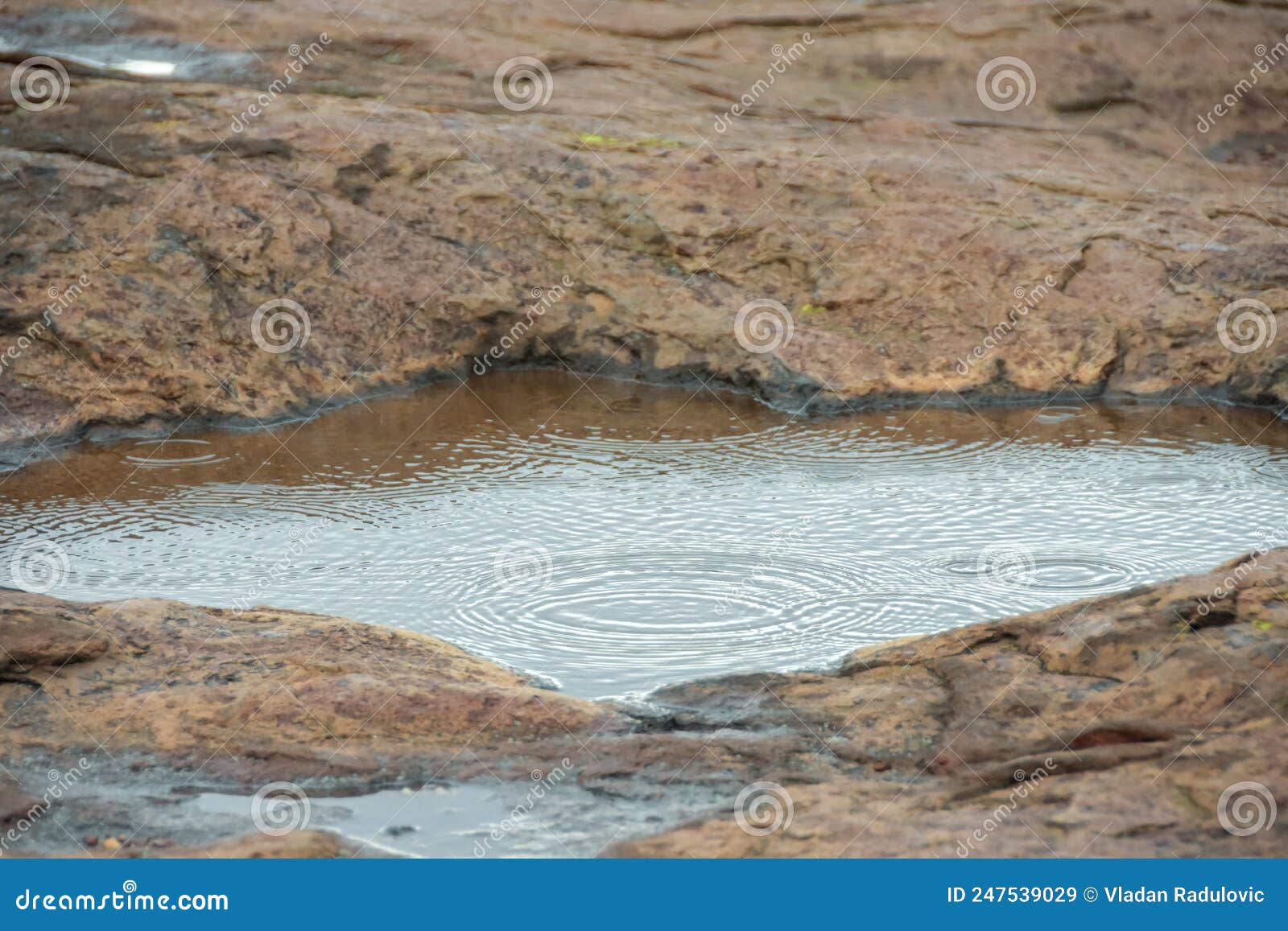 Rock Pool with Ripples from Rain Stock Image - Image of rocks, raining ...