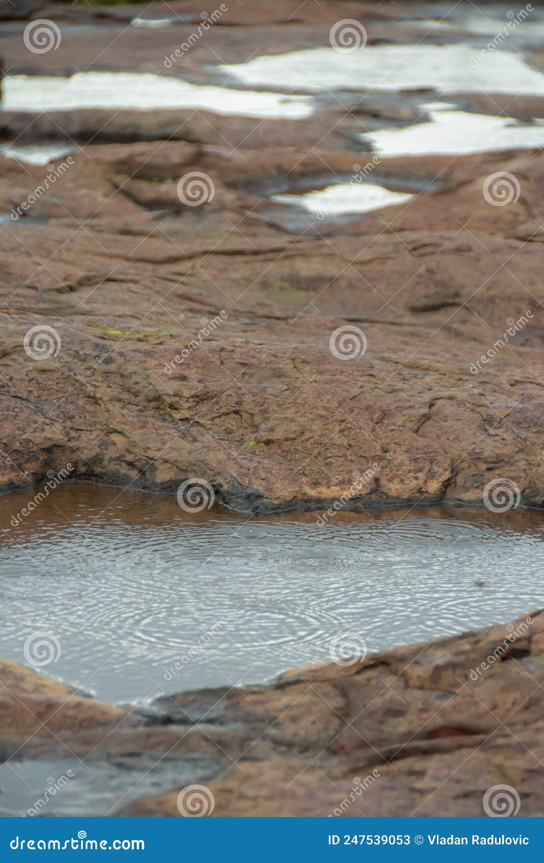 Rock Pool with Ripples from Rain Stock Image - Image of pool, ripples ...
