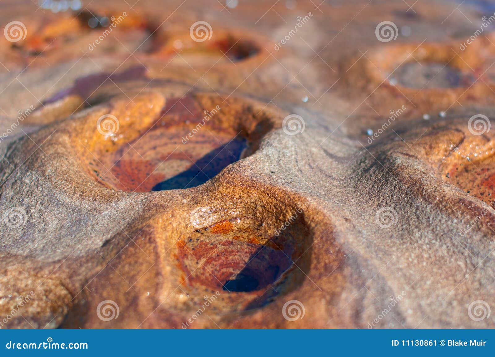 Close up of rock pools stock image. Image of natural - 11130861