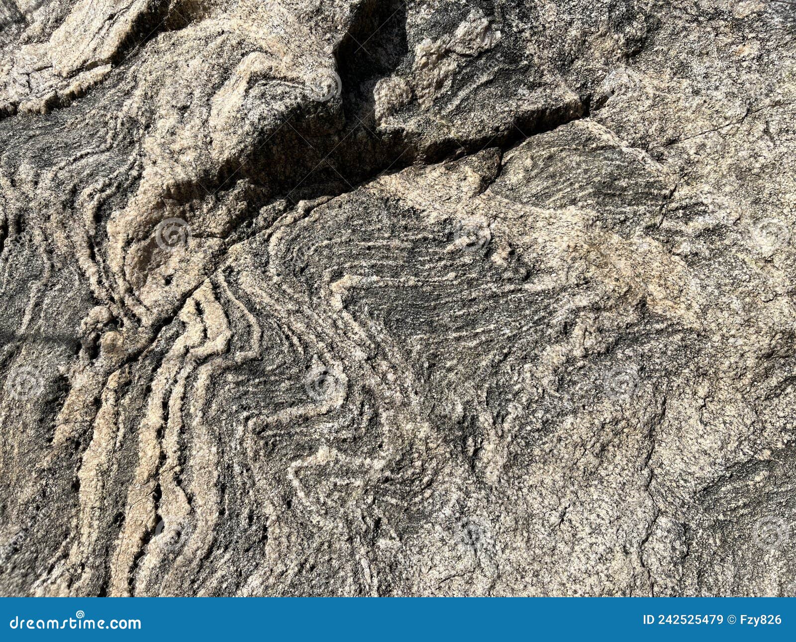Close Up of the Rock Surface Stock Image - Image of miniature ...