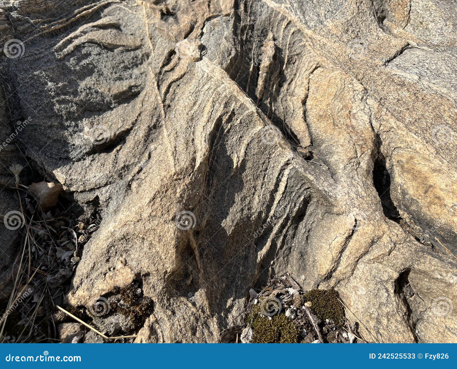 Close Up of the Rock Surface Stock Image - Image of close, rough: 242525533 Close Up of the Rock Surface Stock Image - Image of close, rough: 242525533