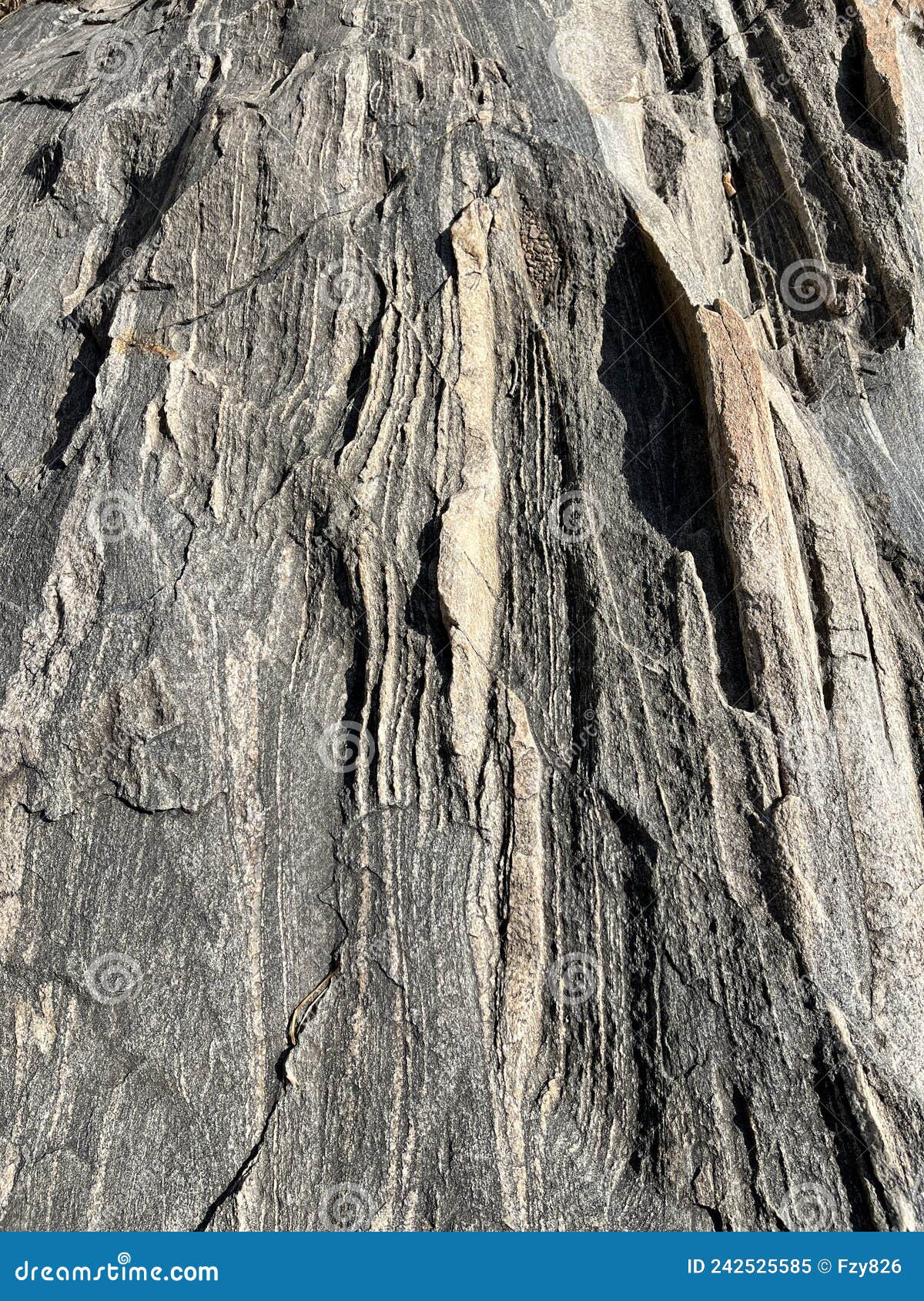 Close Up of the Rock Surface Stock Image - Image of landscape, strange ...