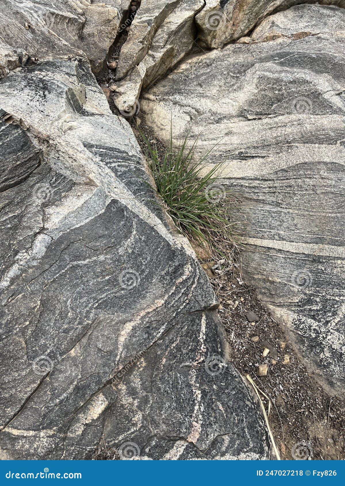 Close Up of the Rock Surface Stock Photo - Image of close, rock: 247027218