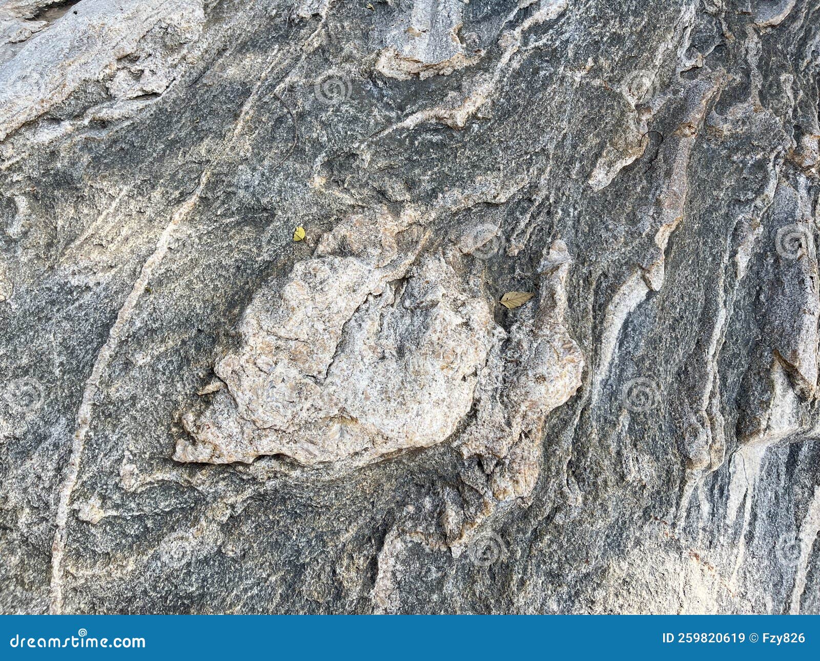 Close Up of the Rock Surface Stock Image - Image of good, surface ... Close Up of the Rock Surface Stock Image - Image of good, surface ...