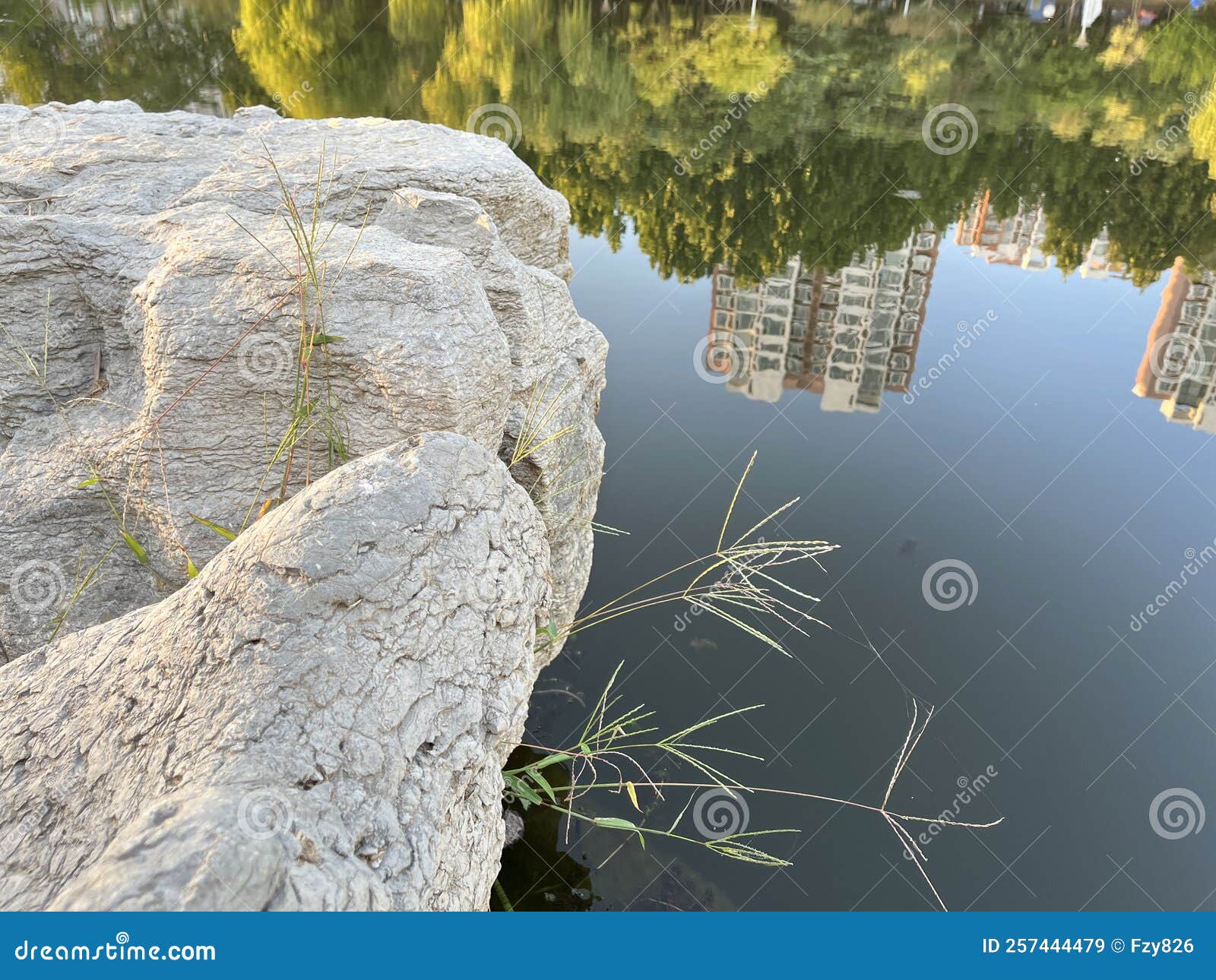 Close Up of the Rock Surface and the Reflection of the Beautiful Park ... Close Up of the Rock Surface and the Reflection of the Beautiful Park ...