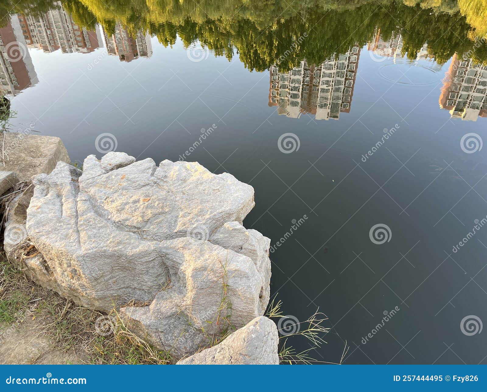 Close Up of the Rock Surface and the Reflection of the Beautiful Park ... Close Up of the Rock Surface and the Reflection of the Beautiful Park ...