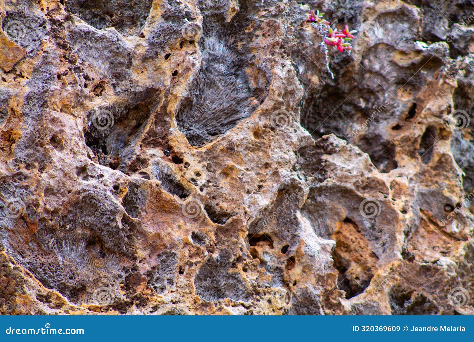 Close Up of Rock Texture. Natural Background and Texture for Design ...