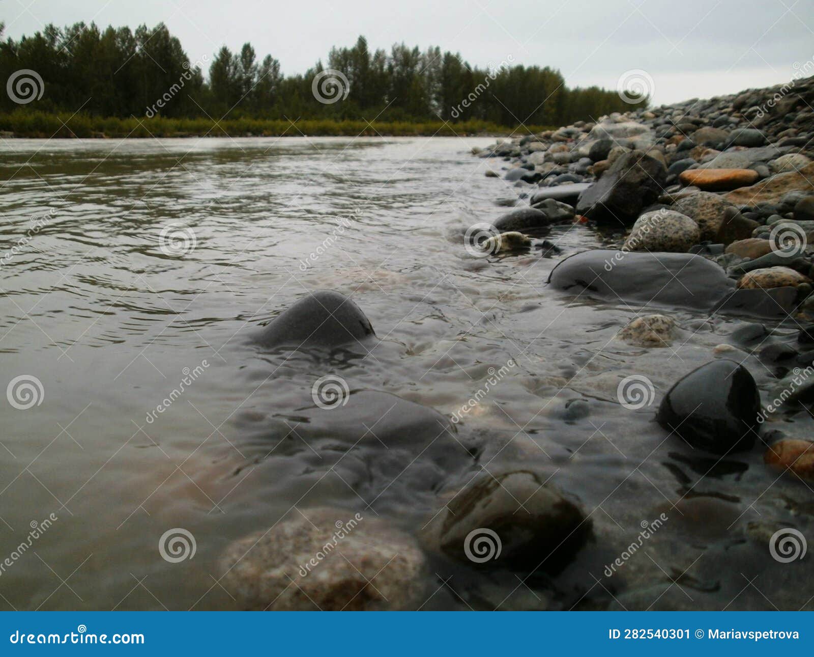 Close-up of rocks stock image. Image of wetland, close - 282540301