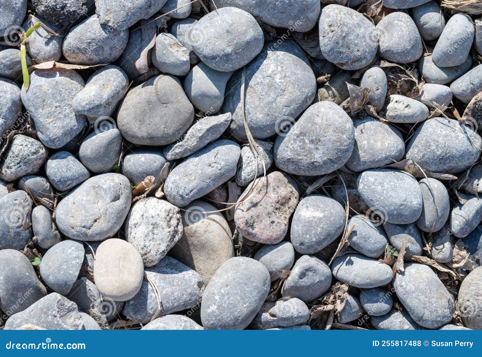 Close Up of Rocks in the Park, Background Stock Photo - Image of ...