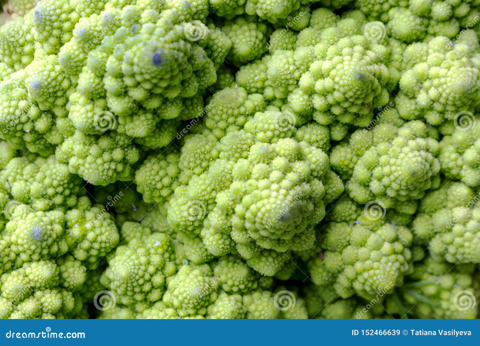 Close-up of Romanesco Cabbage, Background Stock Image - Image of farm ...