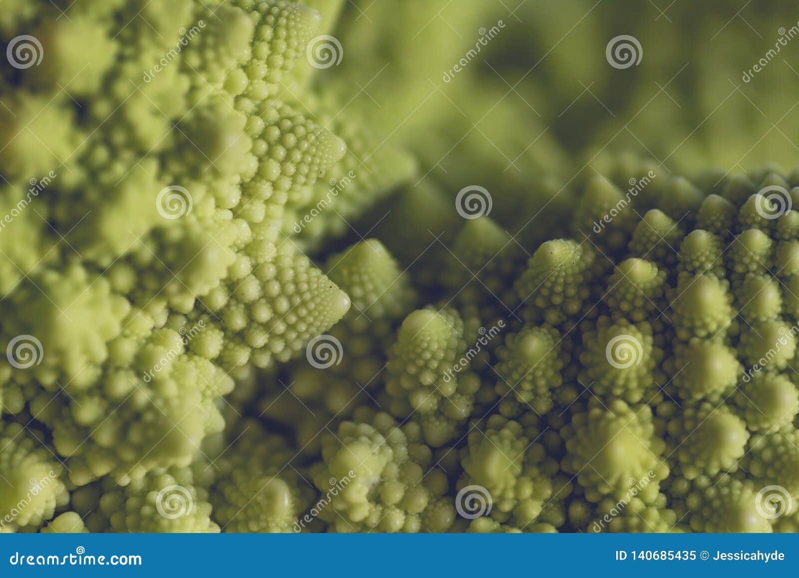Close Up of Romanesque Cauliflower Logarithmic Spirals Stock Image ...