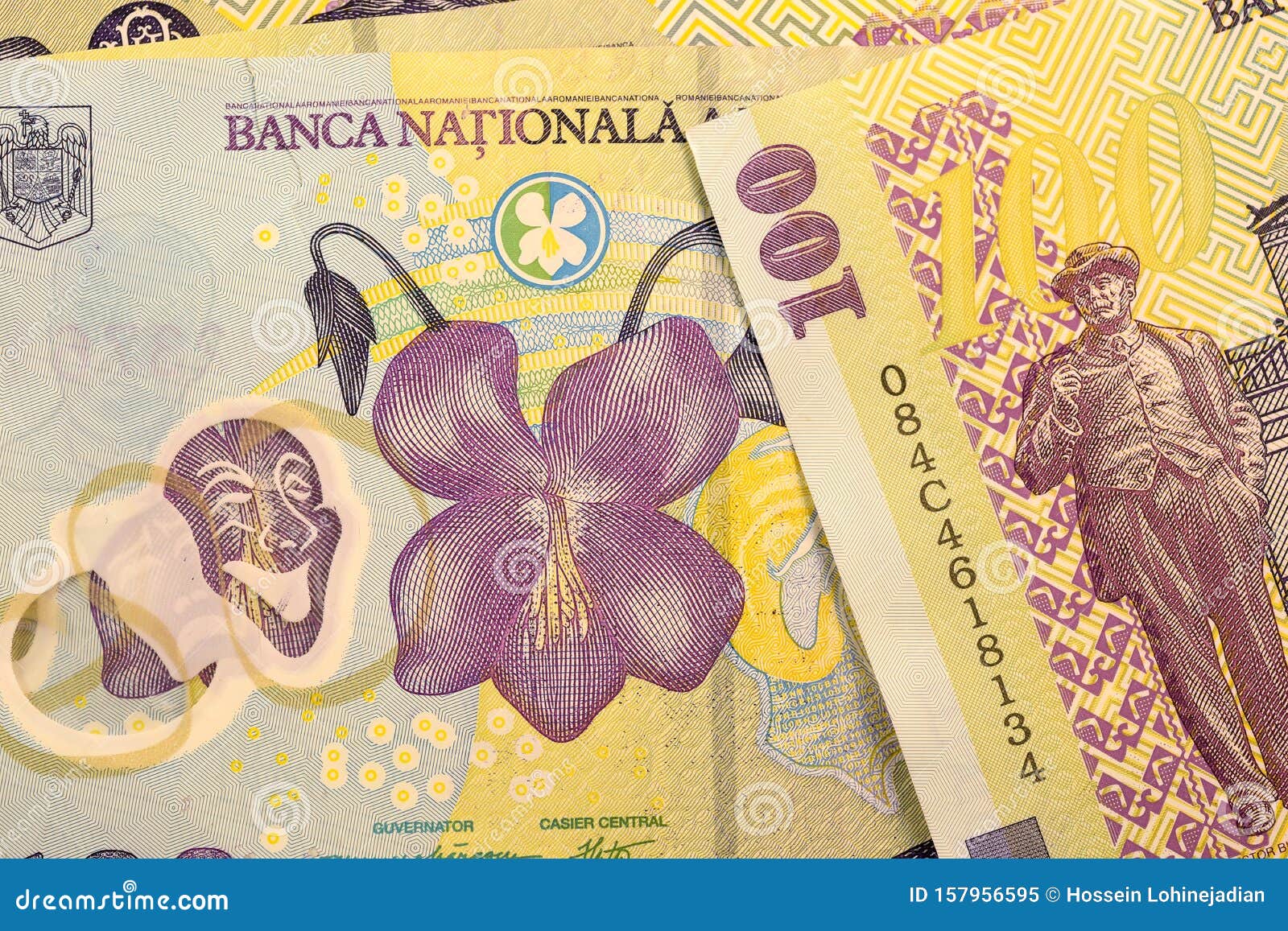 Close Up Romanian Currency Note, LEI or LEU, Romania Stock Image ...