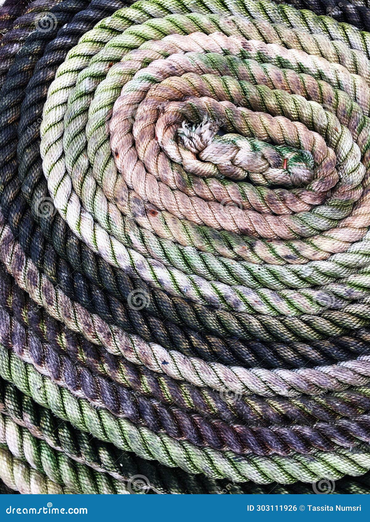 Close Up of a Rope Coiled on a Sailboat Stock Photo - Image of marine ...