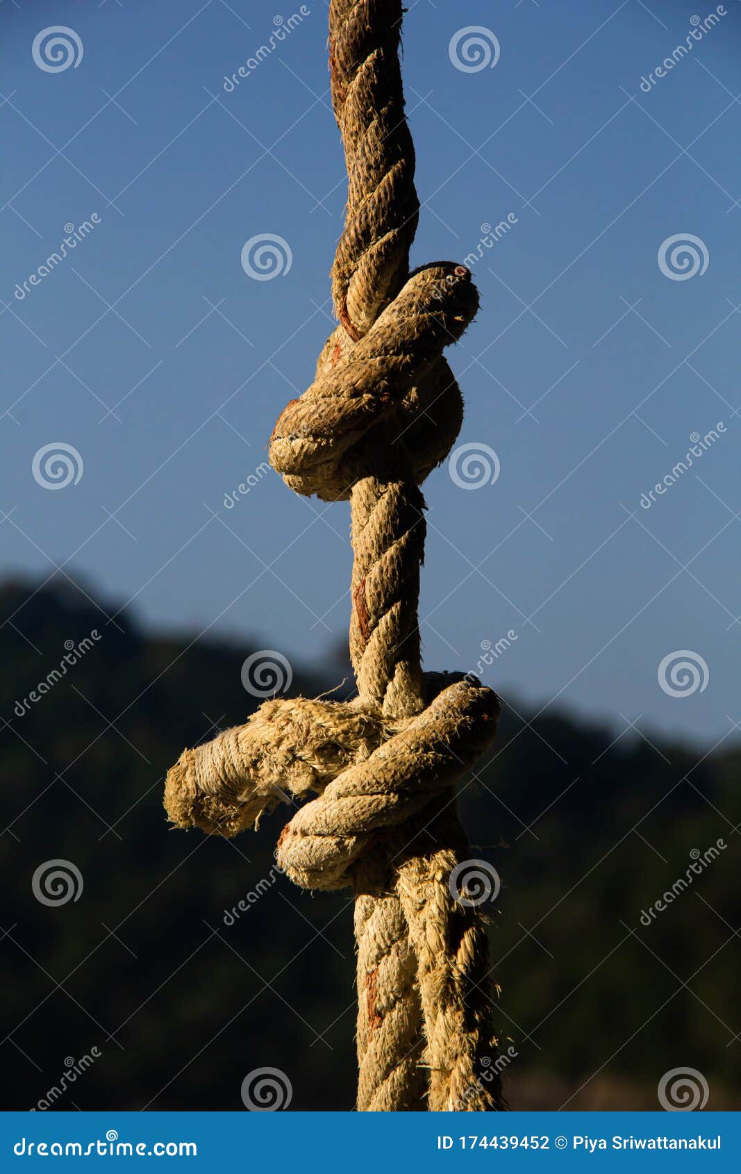 Close up of rope knot stock photo. Image of abstract - 174439452