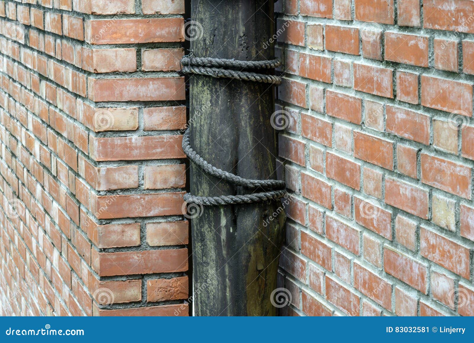 Close Up Roped Trunk and Red Brick Wall Texture Stock Image - Image of ...