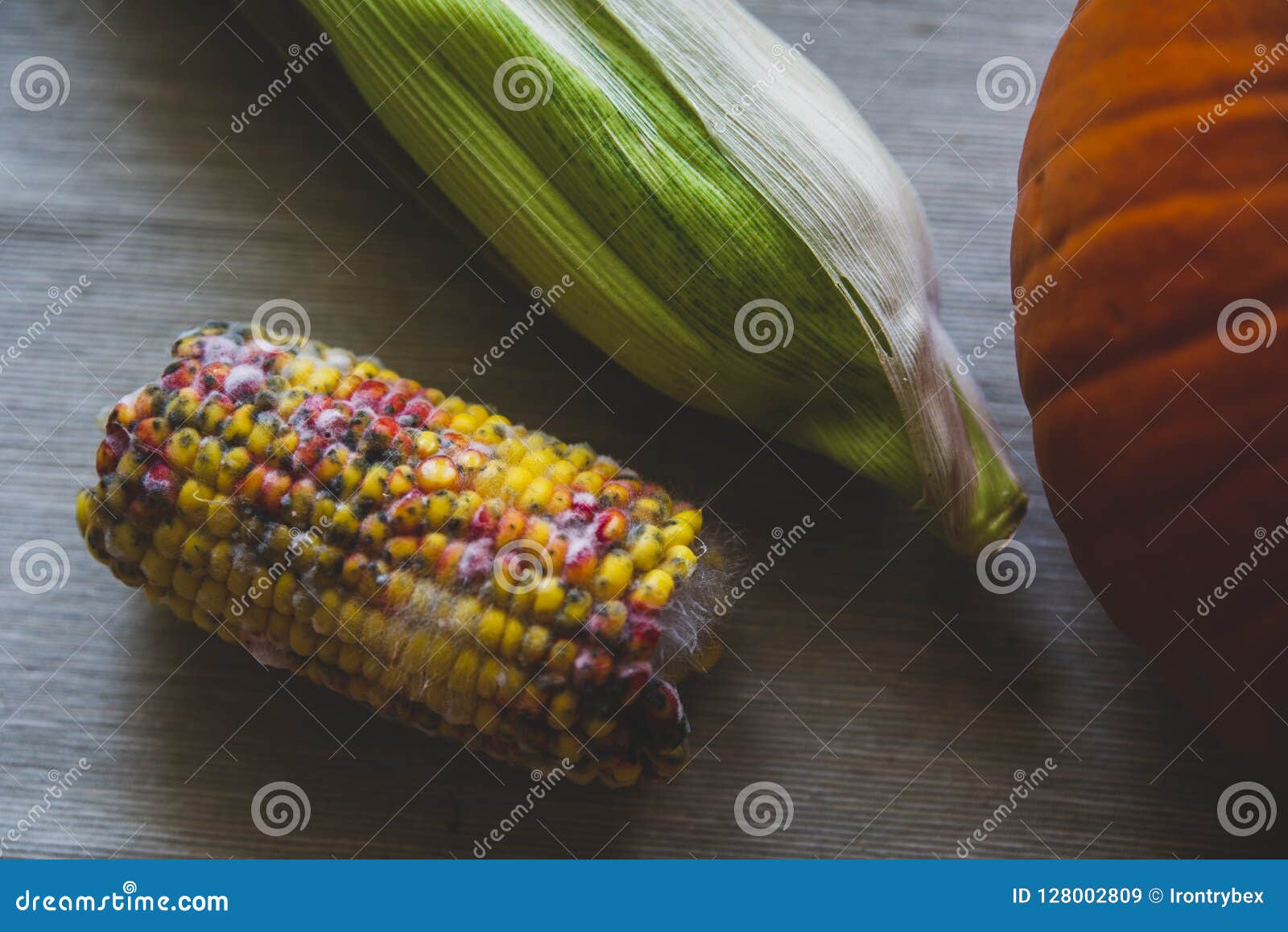 Close Up on Rotten Corn on the Table Stock Image - Image of fungi ...