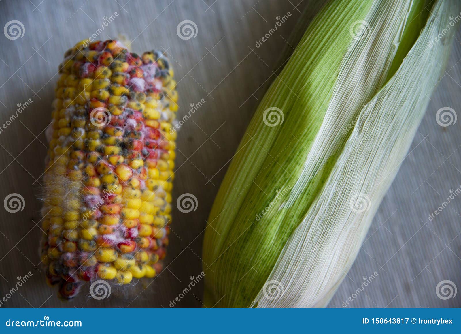 Close Up on Rotten Corn on the Table Stock Image - Image of natural ...