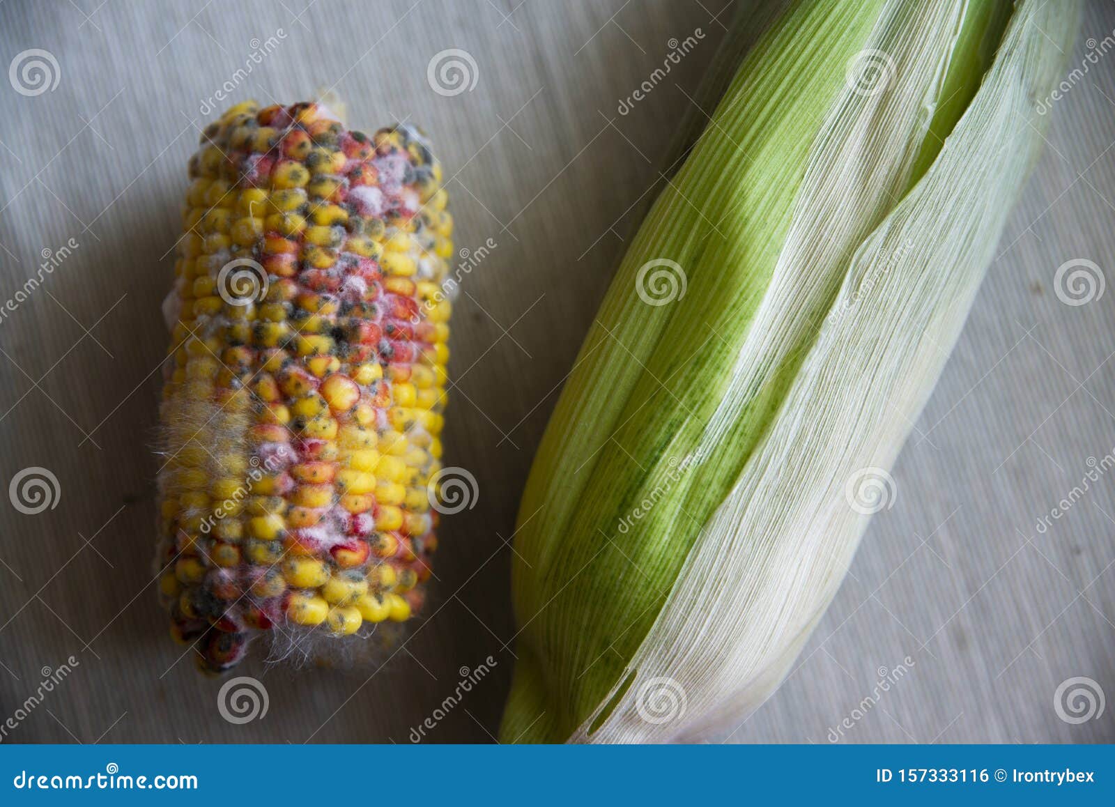 Close Up on Rotten Corn on the Table Stock Photo - Image of mold ...