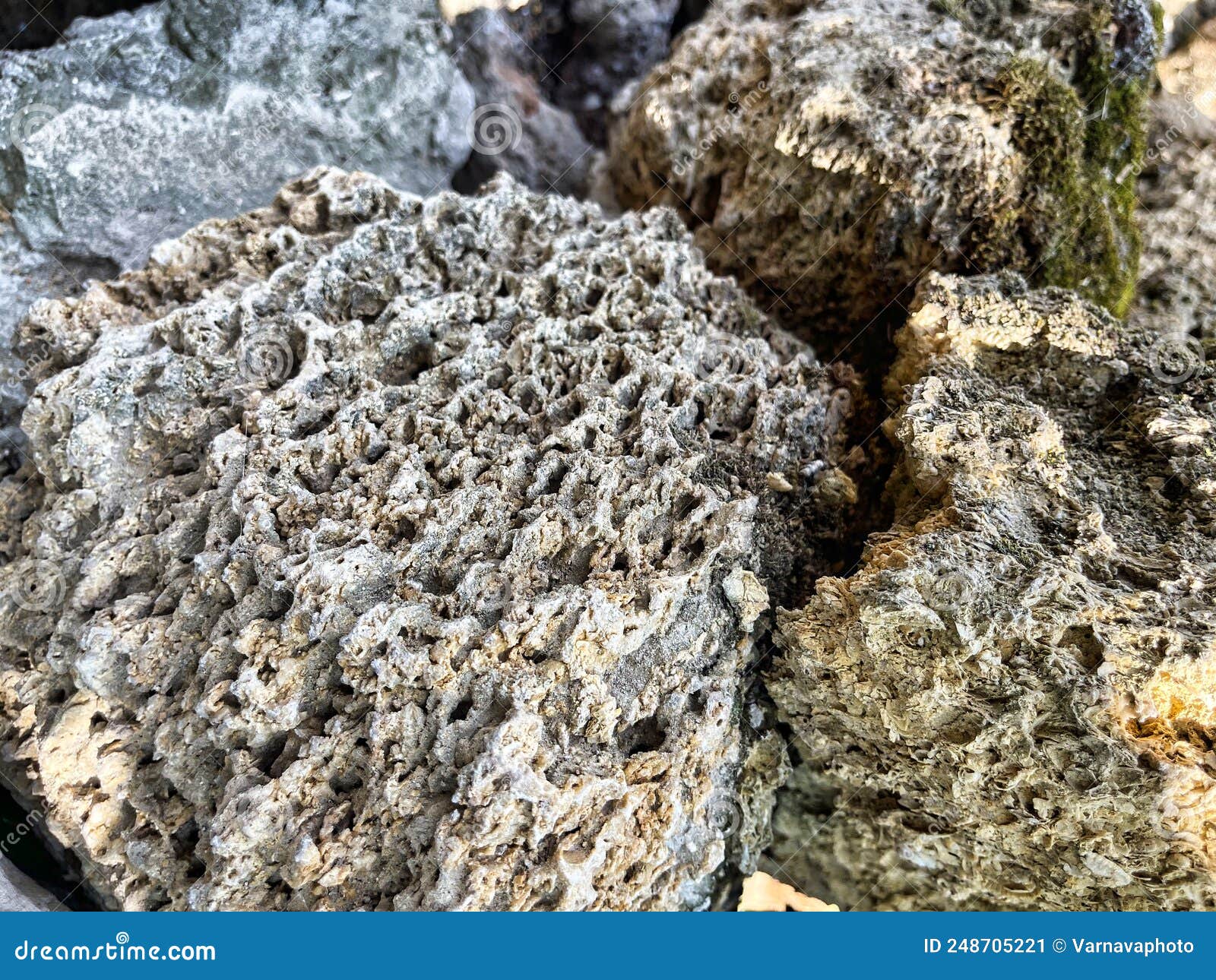 Close-up of a Rough Limestone Surface. Shell Texture. Natural ...