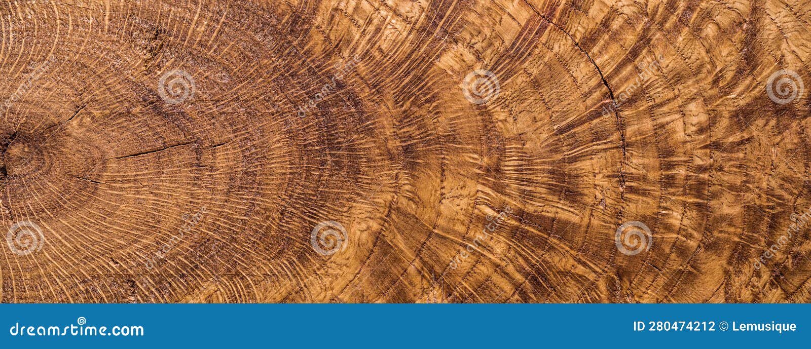 Close-up of Rough Oak Wood Texture. Stock Photo - Image of natural ...