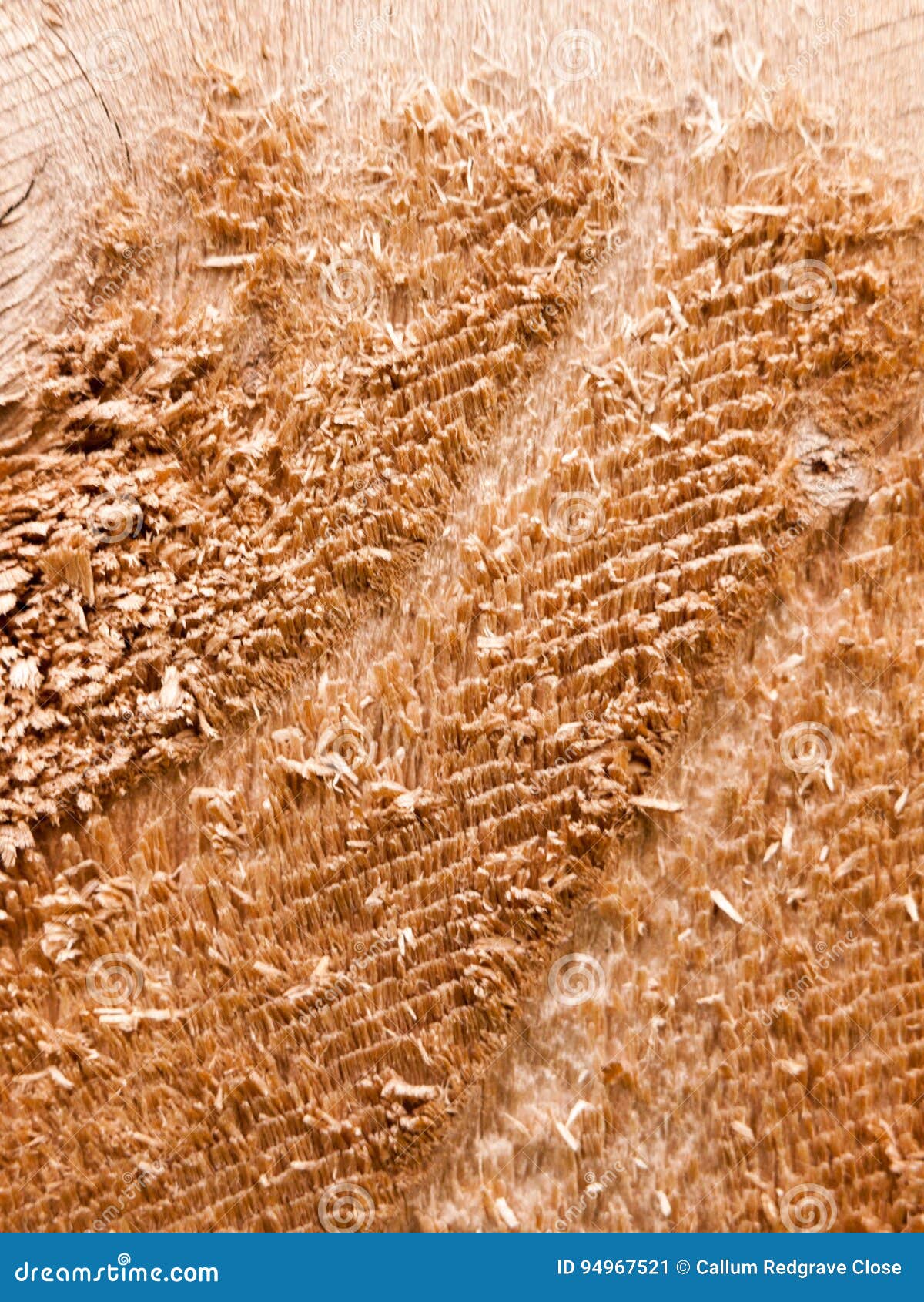 Close Up Rough Texture of a Wooden Post Surface Outside in Light Stock ...