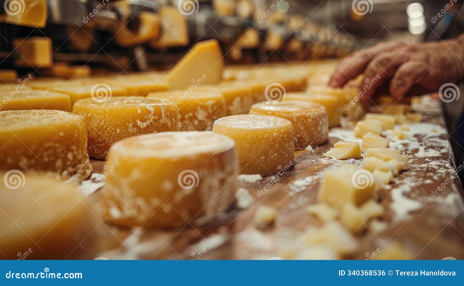 Close-up of Round Cheese Wheels in a Traditional Aging Process Stock ...
