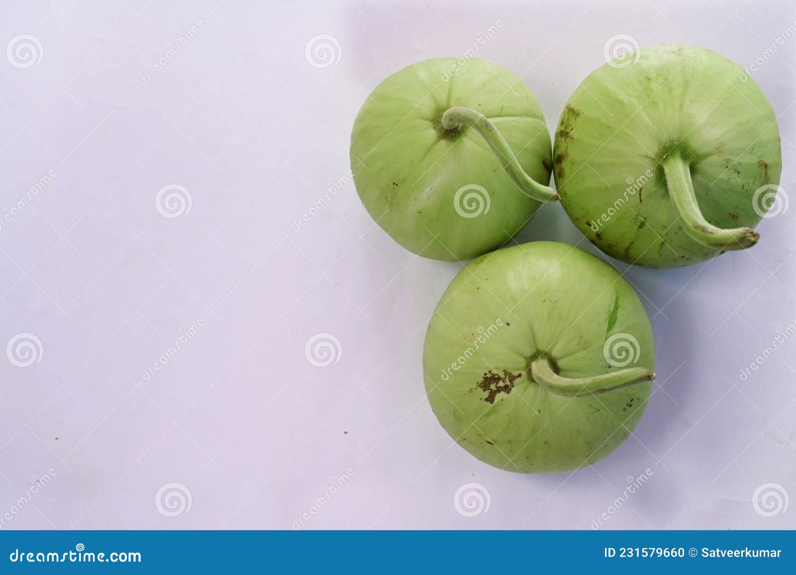 Close Up of Round Green Bottle Gourds Stock Photo - Image of closeup ...