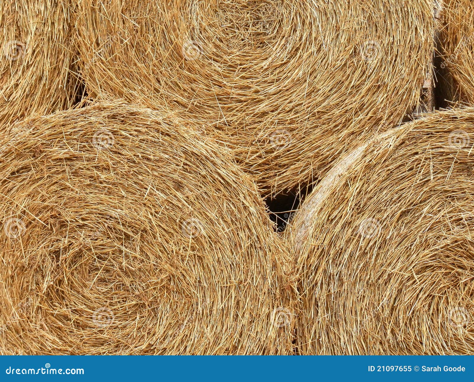 Close Up of Round Hay Bails Stock Image - Image of orange, three: 21097655