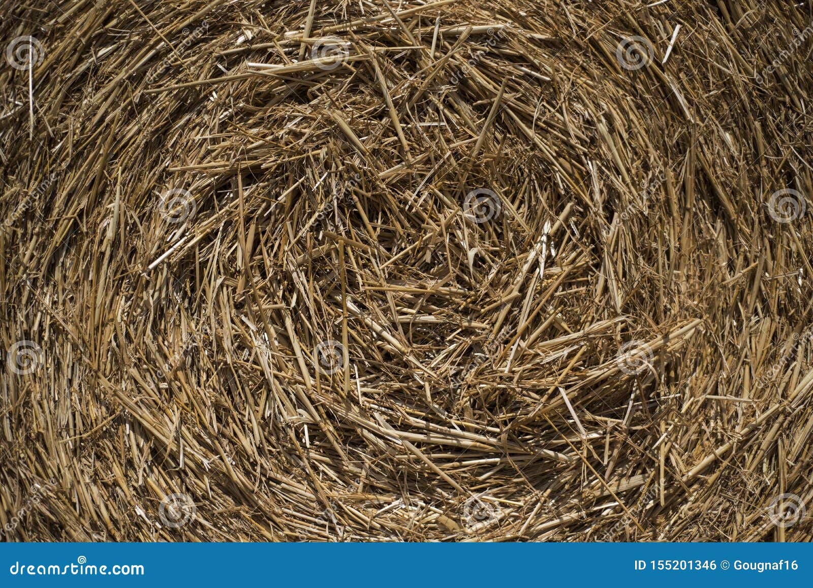 Close Up of a Round Haystack Stock Photo - Image of golden, farmland ...