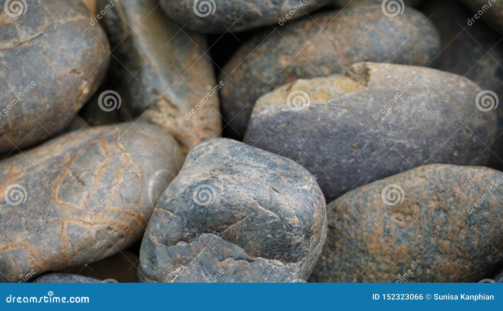 Close Up Rounded Gray Gravel Texture, River Stone Background Stock ...