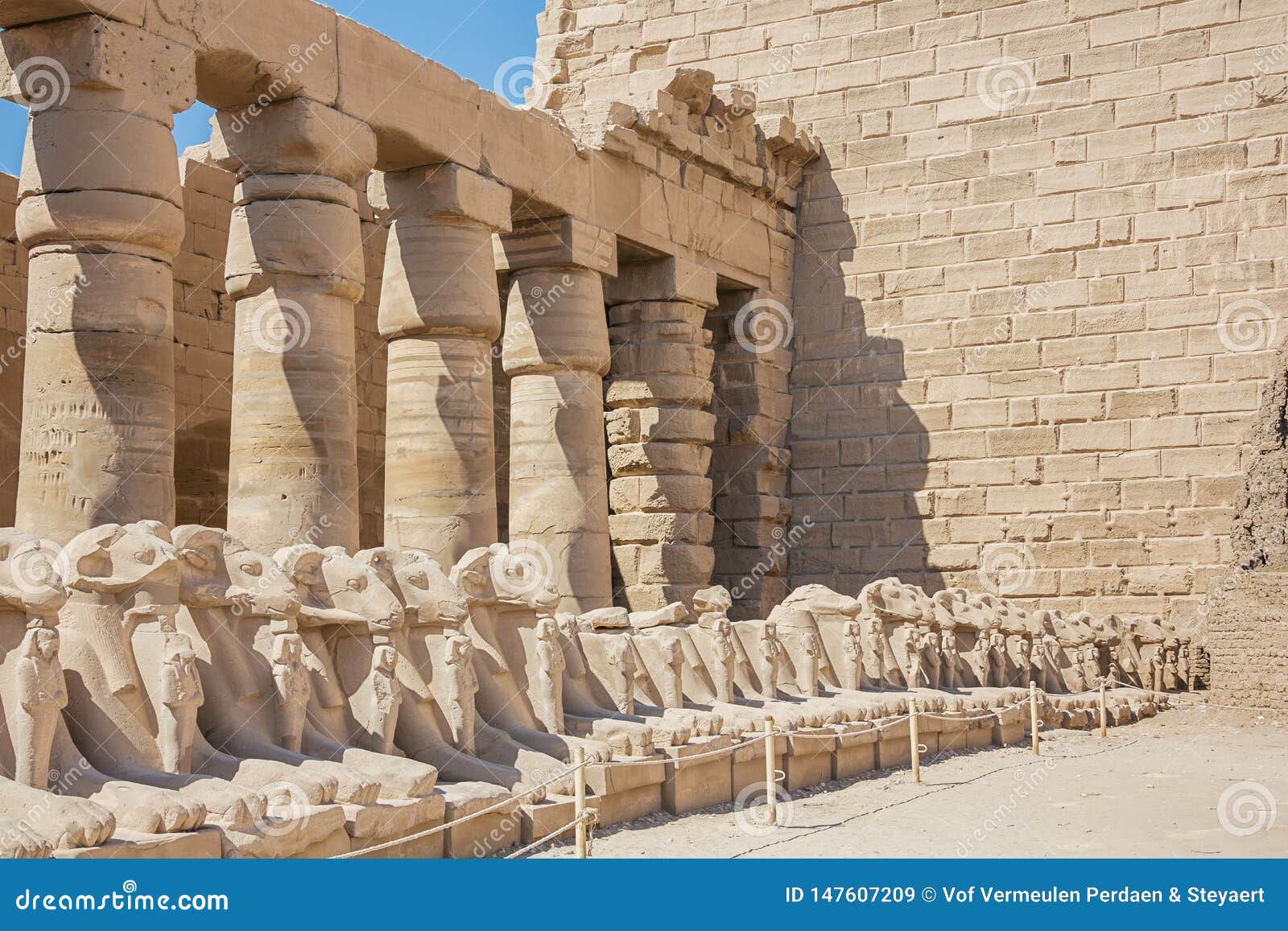 Close Up of a Row of Sphinxes Stock Image - Image of hatshepsut, angle ...