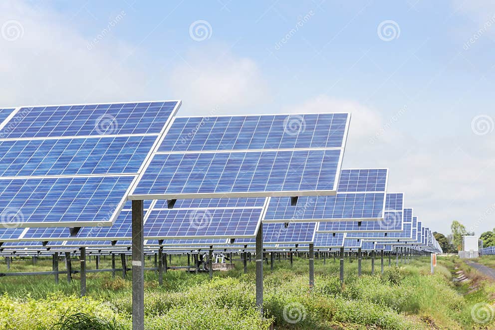 Close Up Rows Array of Solar Cells or Photovoltaics in Solar Power ...