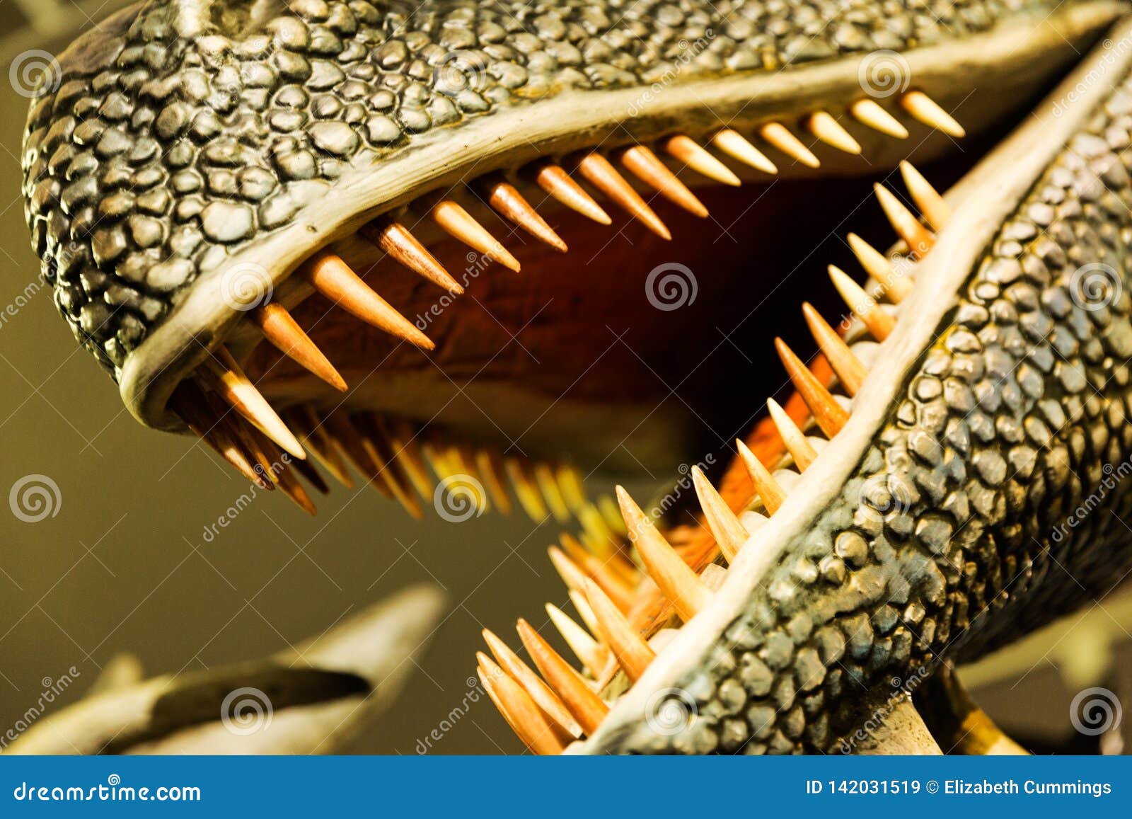 Close Up of Rows of Scary Dragon Teeth Stock Image - Image of fire ...