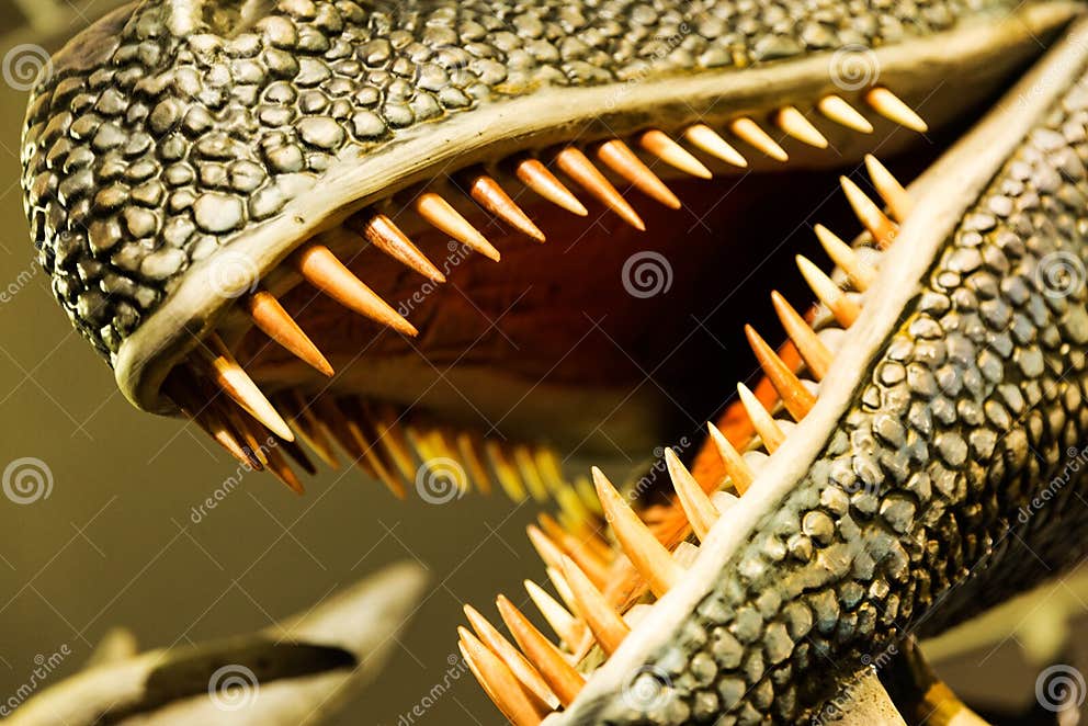 Close Up of Rows of Scary Dragon Teeth Stock Image - Image of fire ...