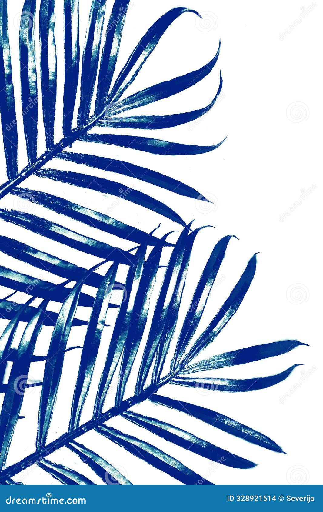 Blue Sky And Palm Tree Stock Image | CartoonDealer.com #196089211