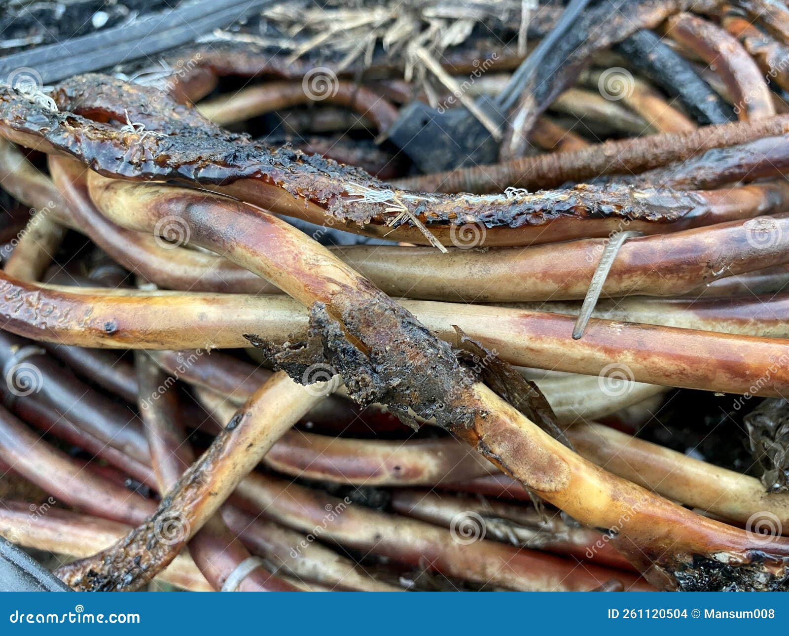 Rubber Power Cord after Fire Stock Photo - Image of rust, construction ...
