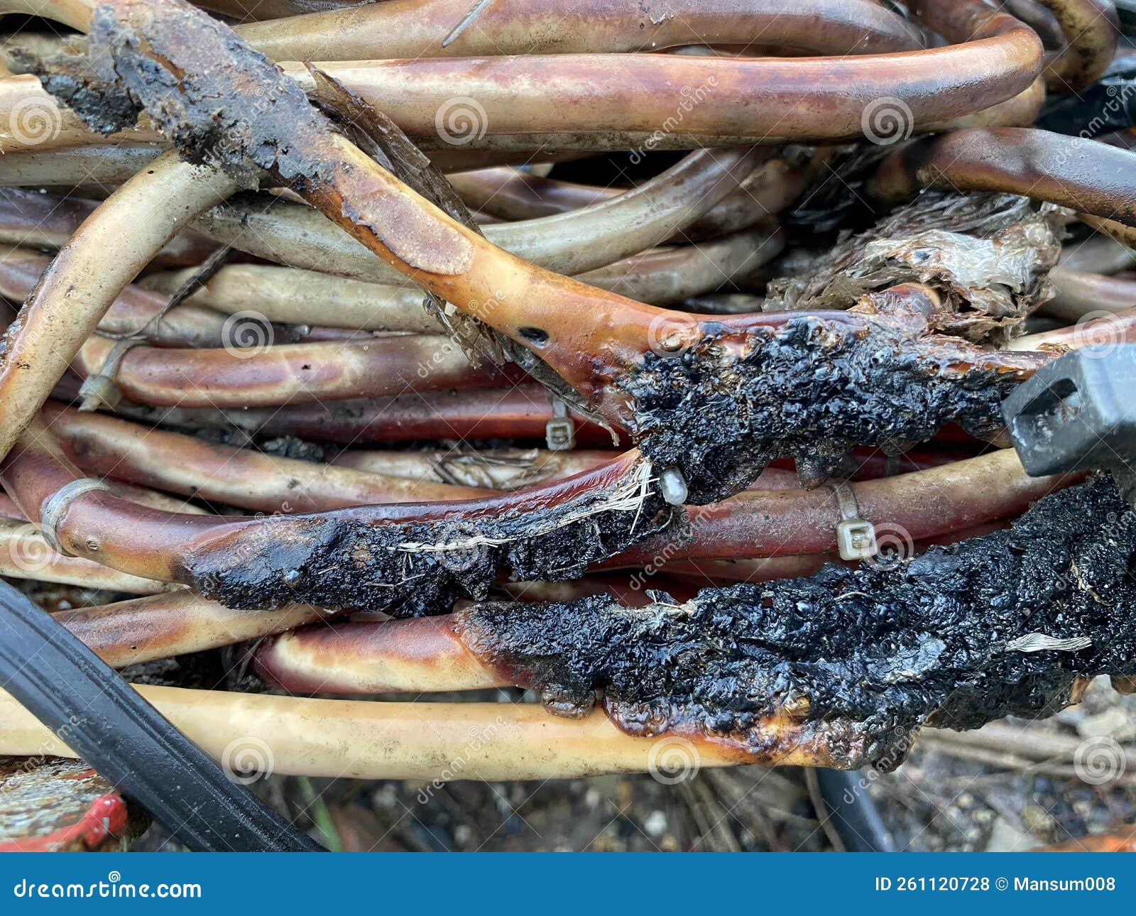 Rubber Power Cord after Fire Stock Photo - Image of rust, dirty: 261120728