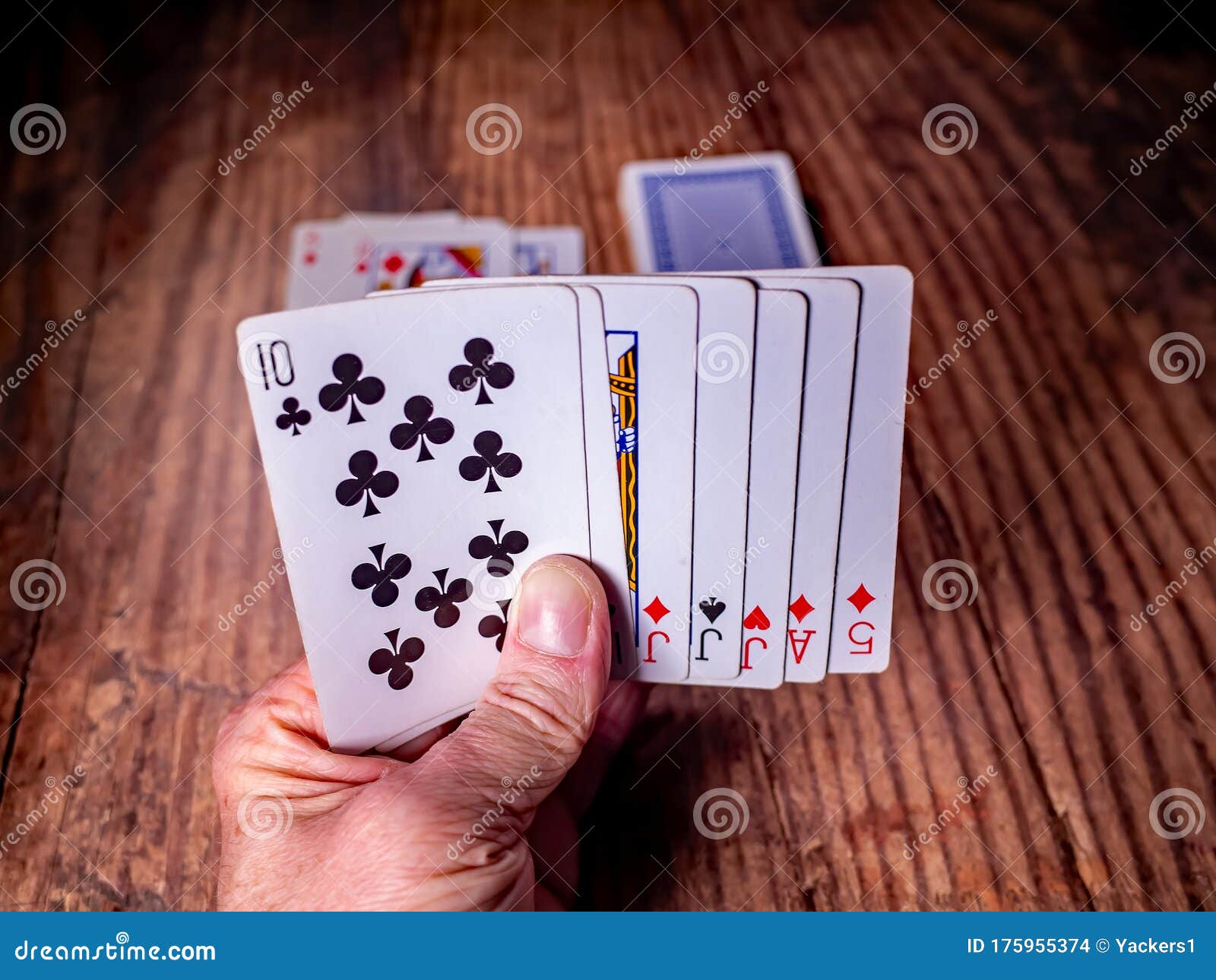 Close Up of a Human Hand Holding Playing Cards Stock Photo - Image of ...