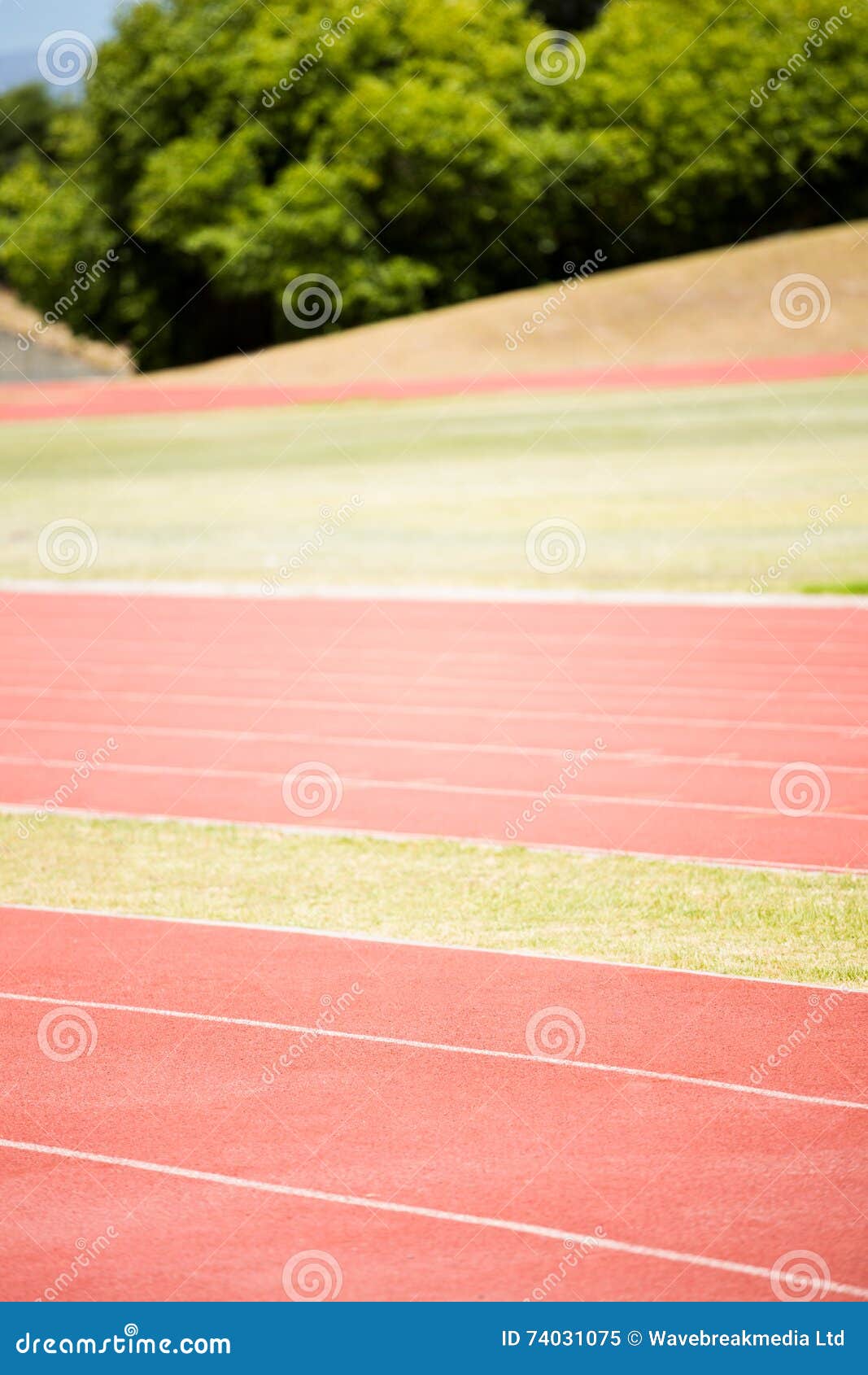 Close-up of running track stock image. Image of sports - 74031075