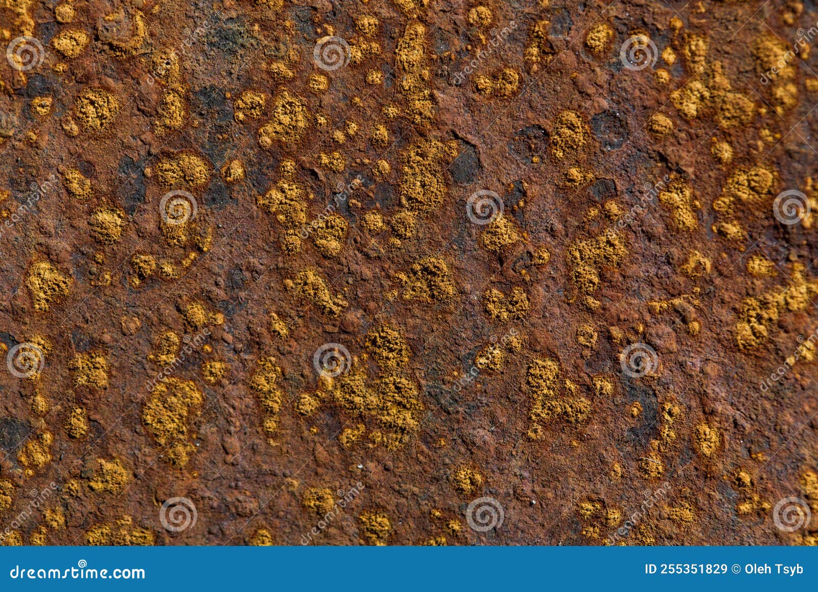 Close-up of Rust on a Metal Surface. Stock Image - Image of damaged ...