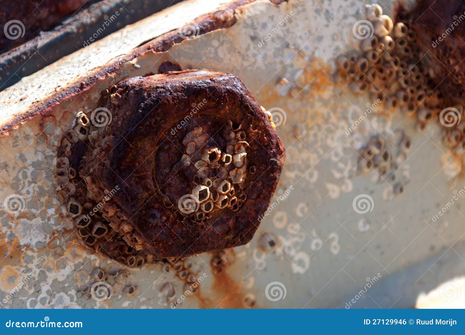 Close-up of a Rusted Part of Steel Tube Stock Photo - Image of barnacle ...