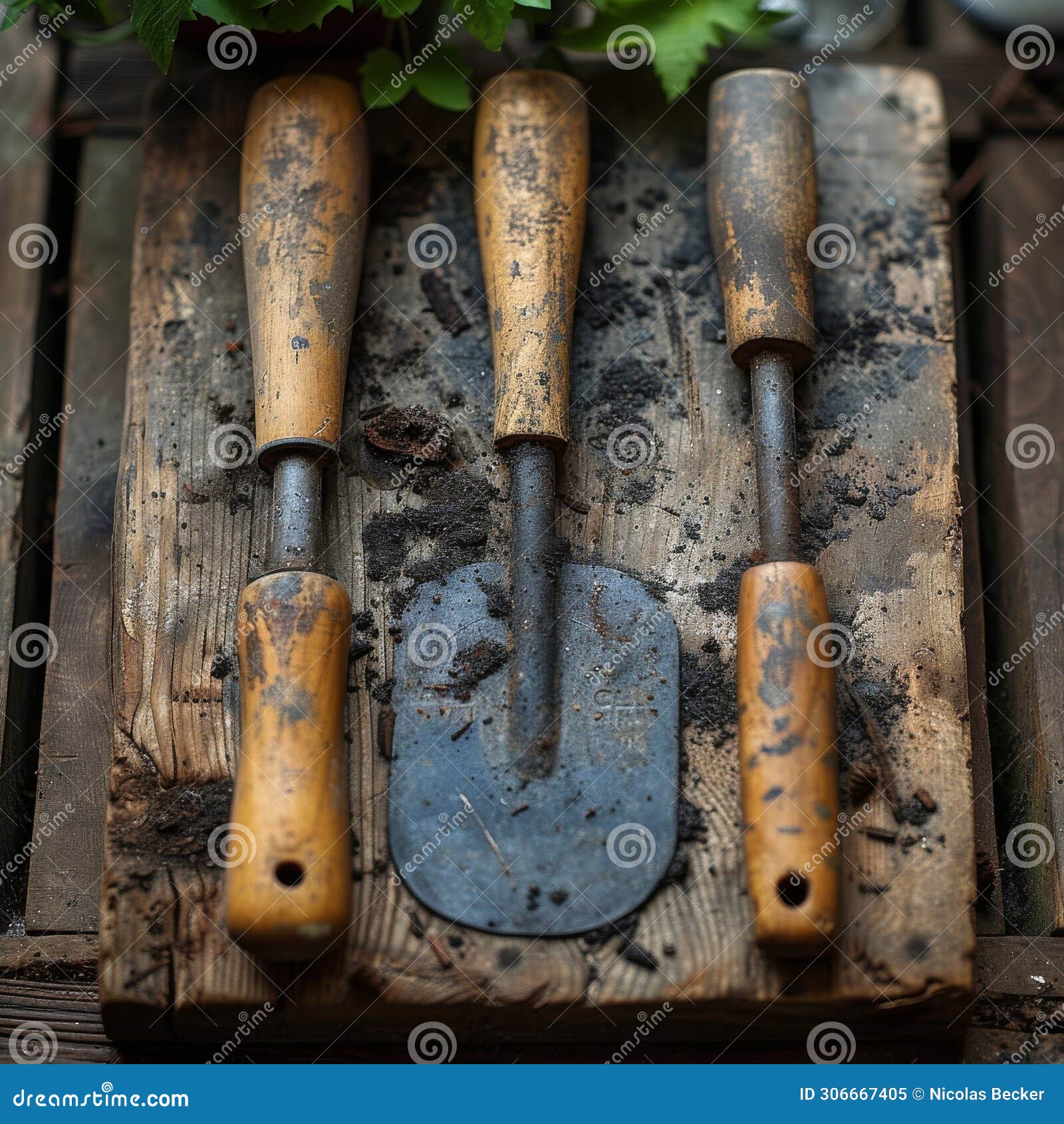 Close-Up of Rustic Tools, Worn and Rustic Details of Tools. Stock ...
