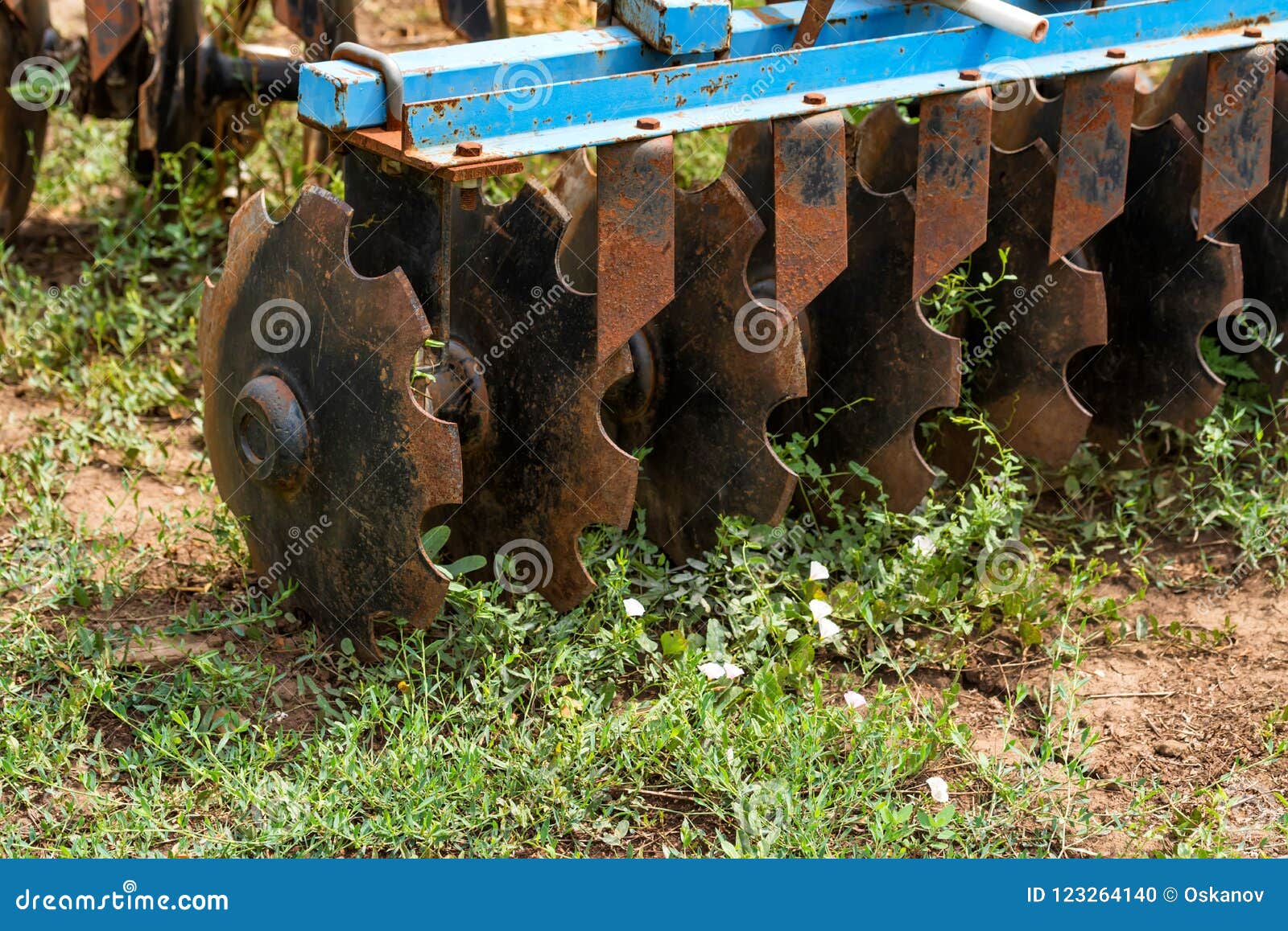 Rusty Old Disc Harrow in Backyard Close Stock Photo - Image of disc ...
