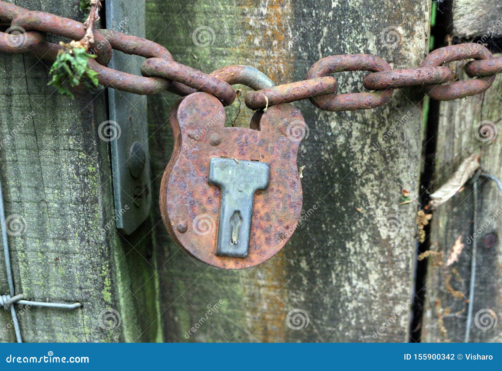 Rusty padlock and chain stock photo. Image of link, shackles - 155900342