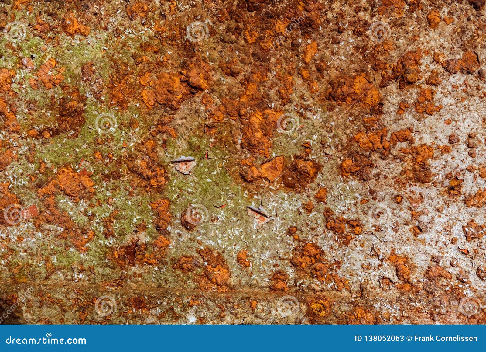 Close Up of a Rusty Surface Stock Image - Image of corroded, iron ...