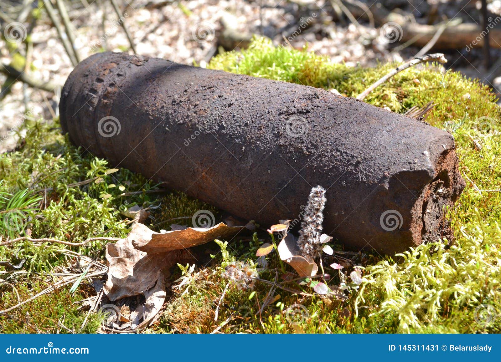 Close Up of Rusty Whizzbang High Explosive of the Second World War in ...
