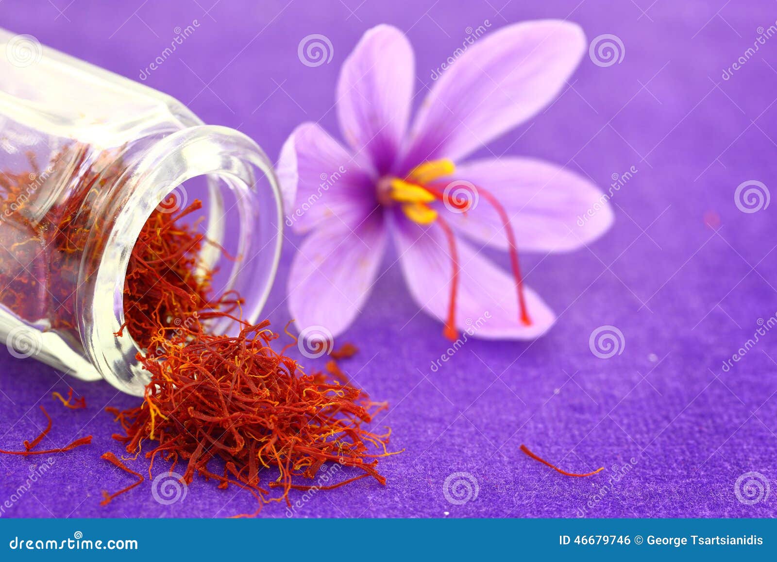 Close up of saffron flower stock photo. Image of floral - 46679746