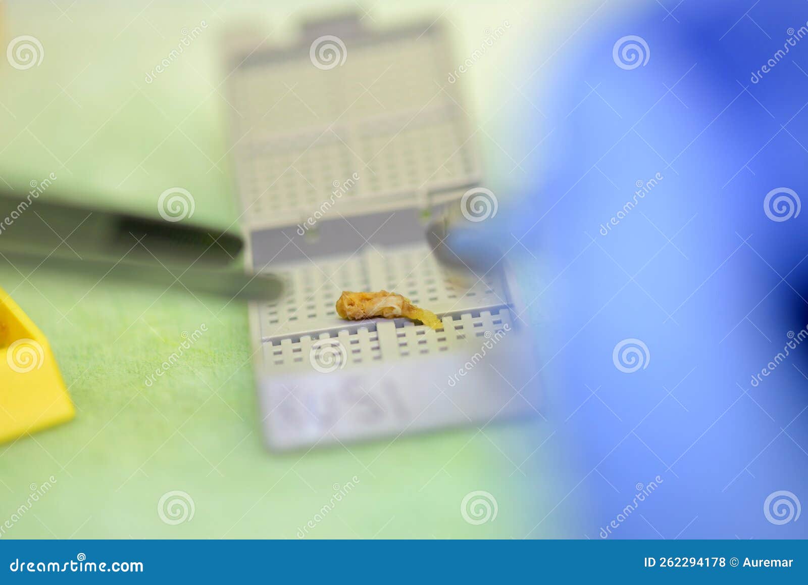 Close-up Of A Fecal Occult Blood Test Kit Used To Detect Bleeding In ...
