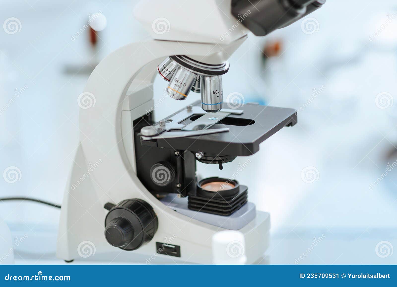 Close Up. Sample on Glass Under a Microscope Stock Image - Image of ...